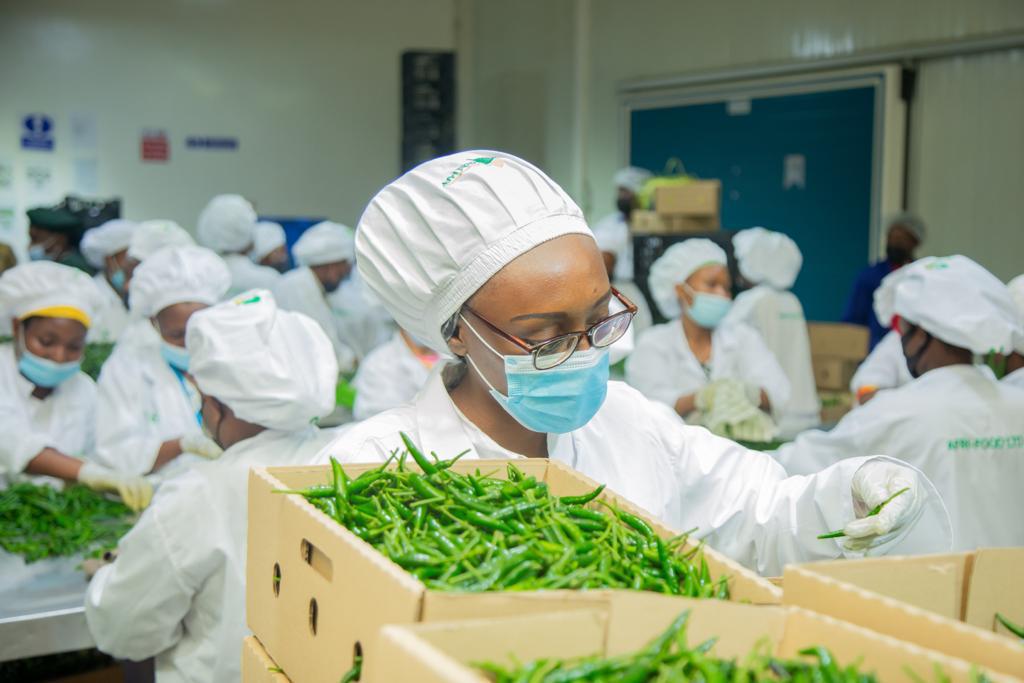 Afri Foods Limited - Premium Rwandan Produce