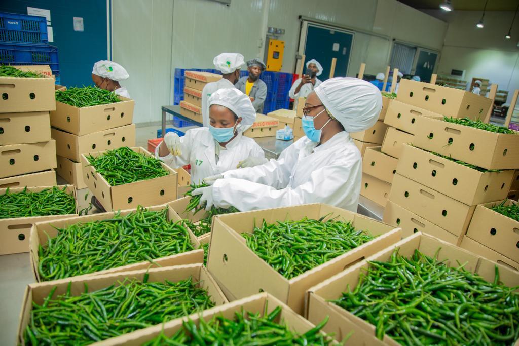 Afri Foods Limited - Premium Rwandan Produce