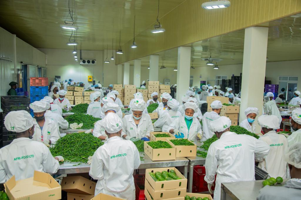 Afri Foods Limited - Premium Rwandan Produce