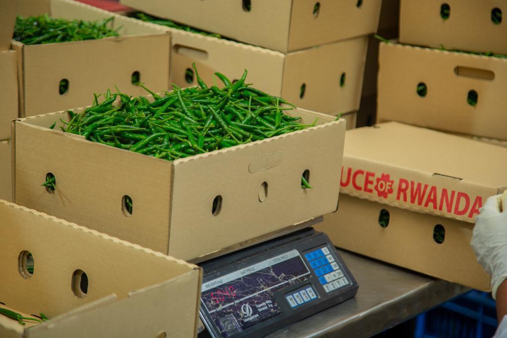 Afri Foods Limited - Premium Rwandan Produce